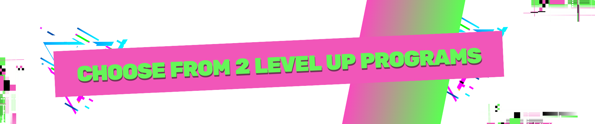 Level Up Program - Elite Academic Academy